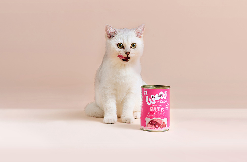 Premium cat food: Extra meat, high-quality proteins, grain-free | Shop now