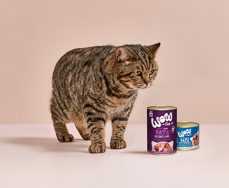 Premium cat food: Extra meat, high-quality proteins, grain-free | Shop now