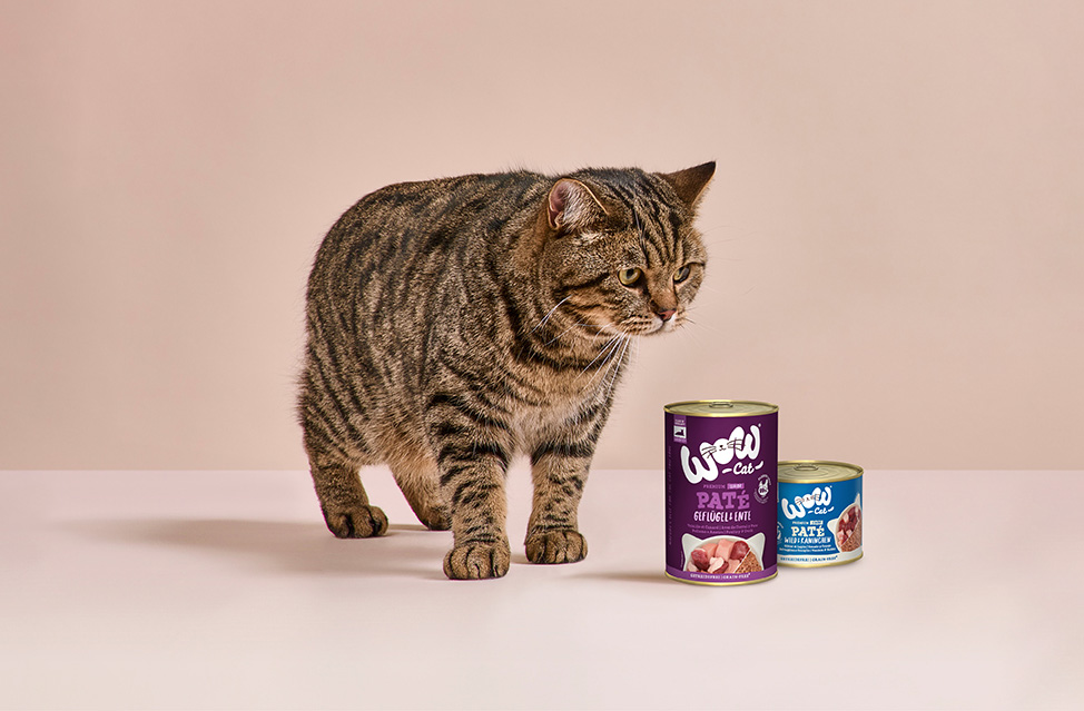 Premium cat food: Extra meat, high-quality proteins, grain-free | Shop now