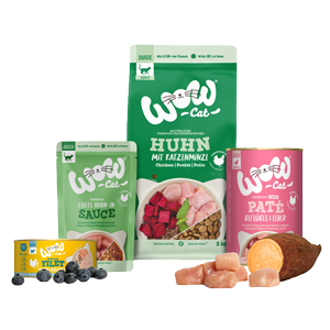 WOW Dog Food | Wet Food in Cup with venison | lower prices